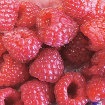 British Berries | Freshview Foods Ltd