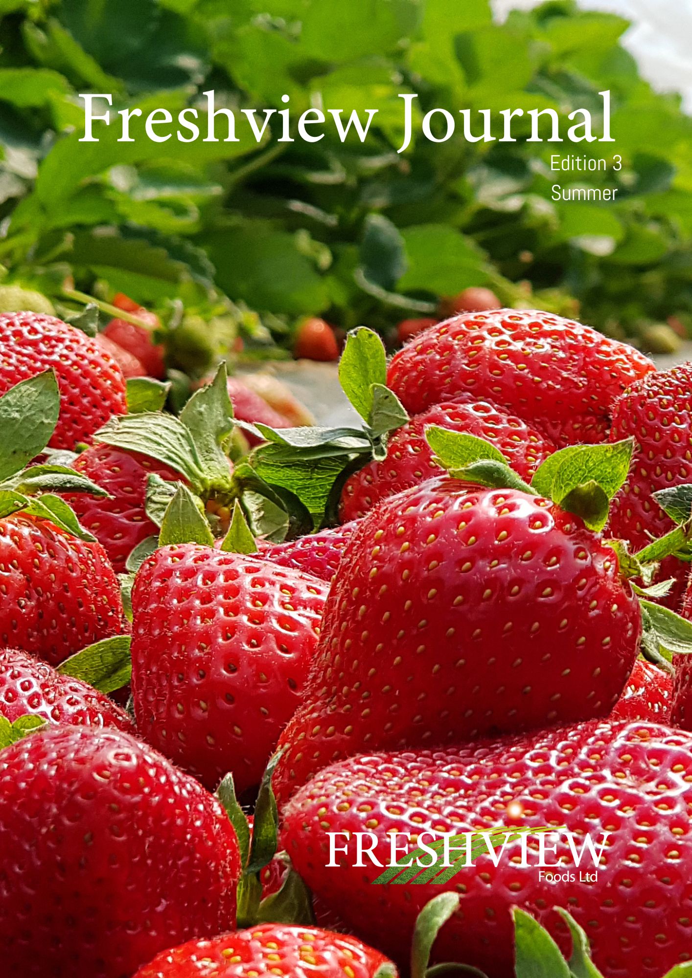 Freshview Journal, Edition 3, Summer | Freshview Foods Ltd