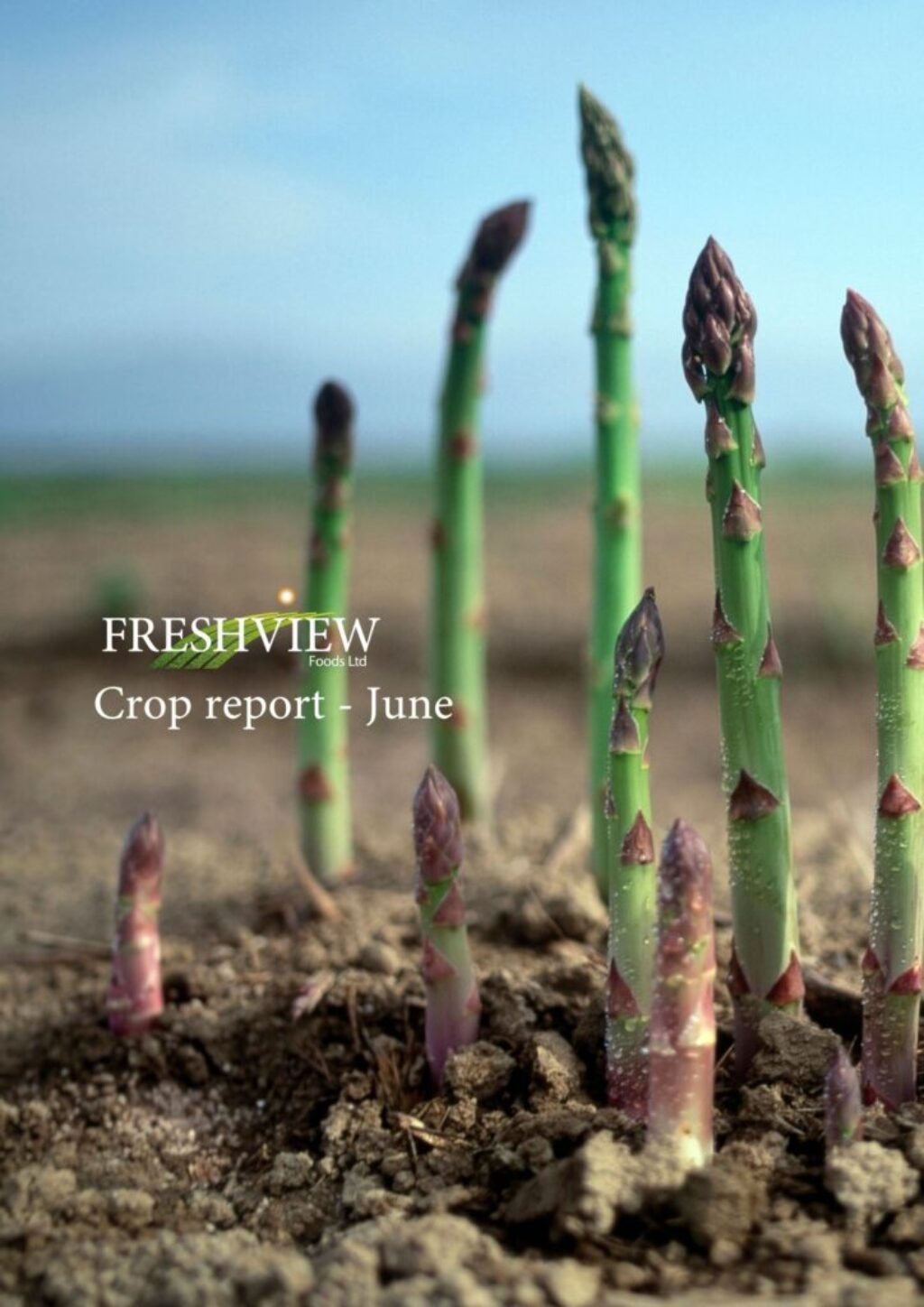 Freshview Foods Crop Report – June 2023 | Freshview Foods Ltd