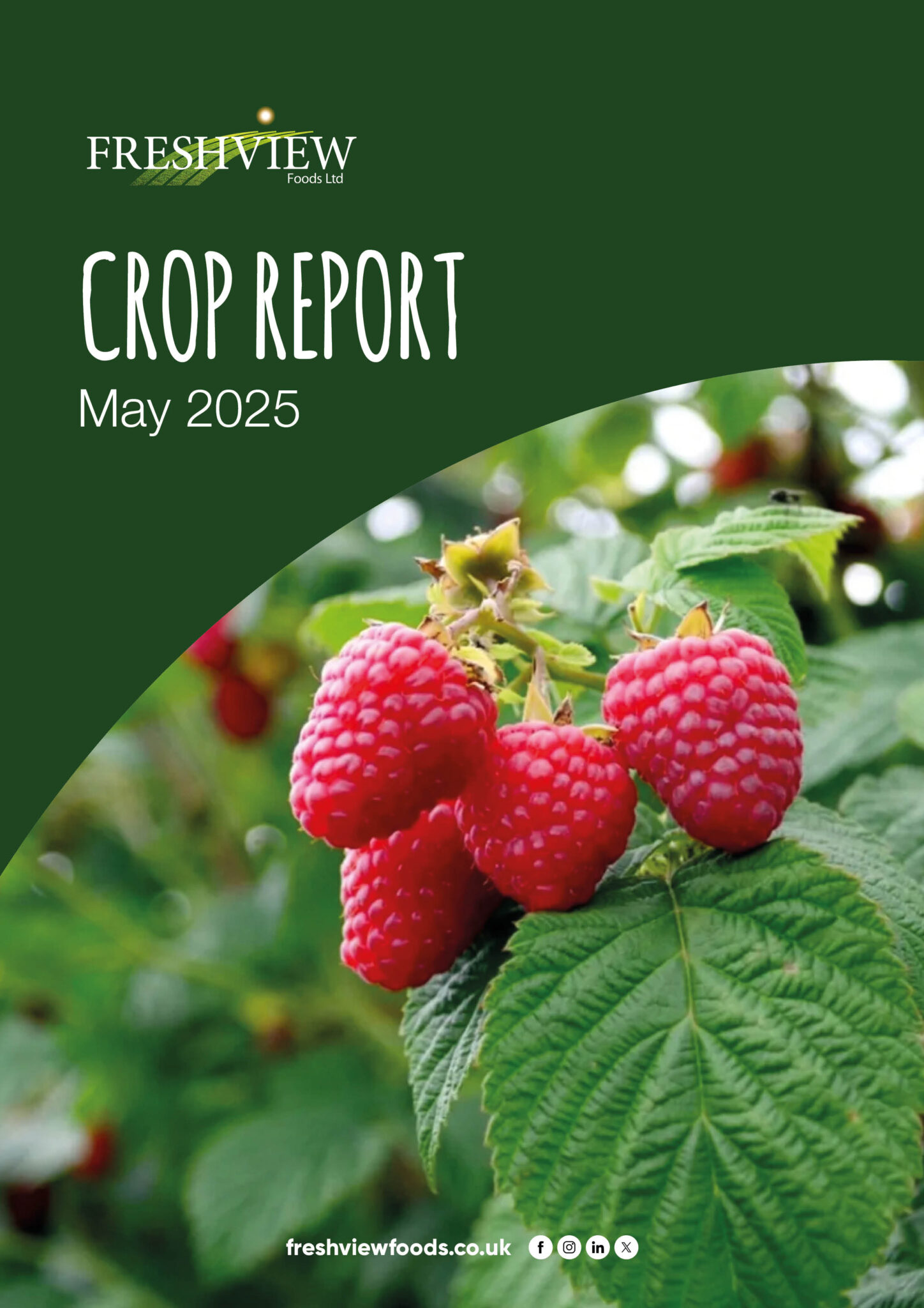 Crop Report – May 2025 | Freshview Foods Ltd