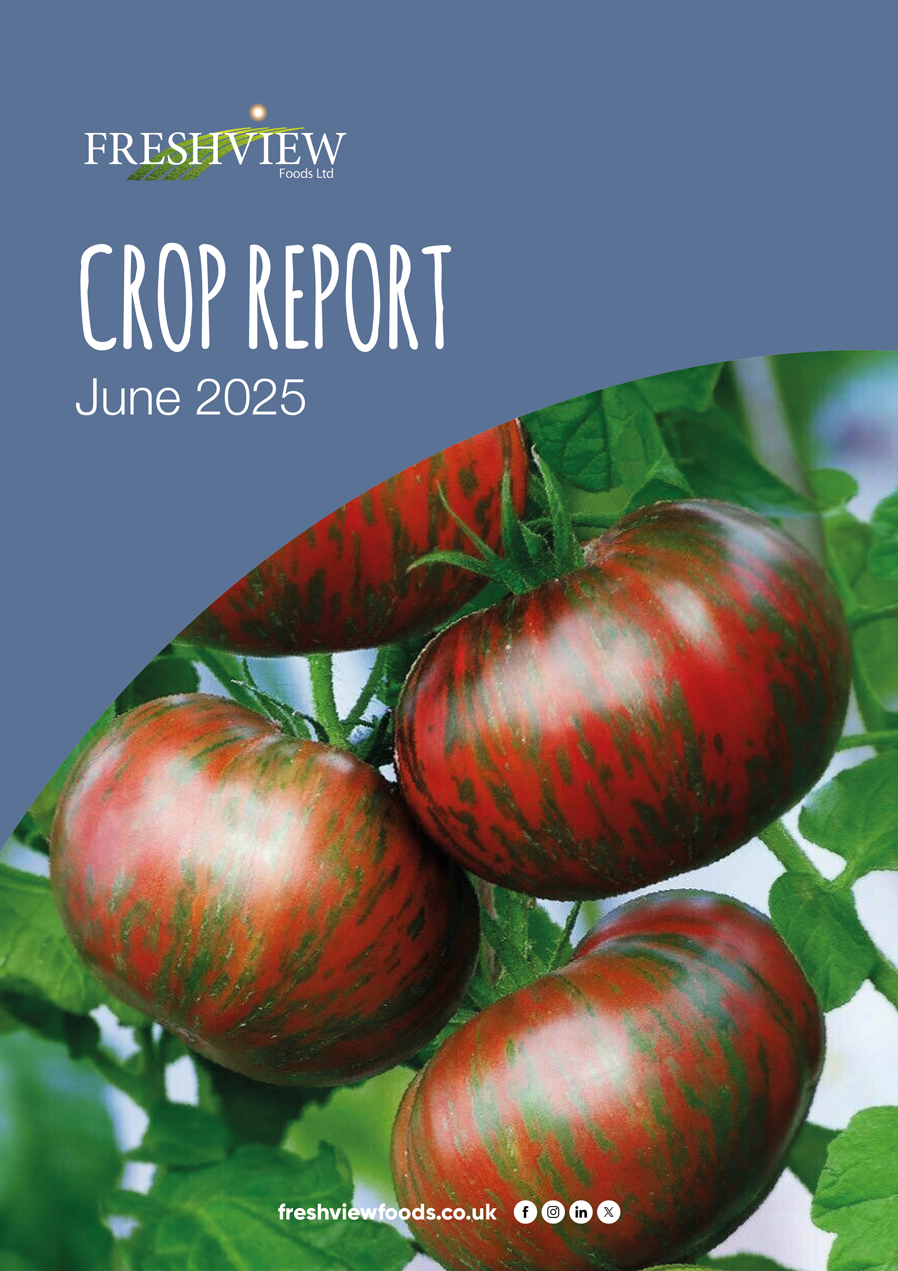 Crop Report – June 2025 | Freshview Foods Ltd