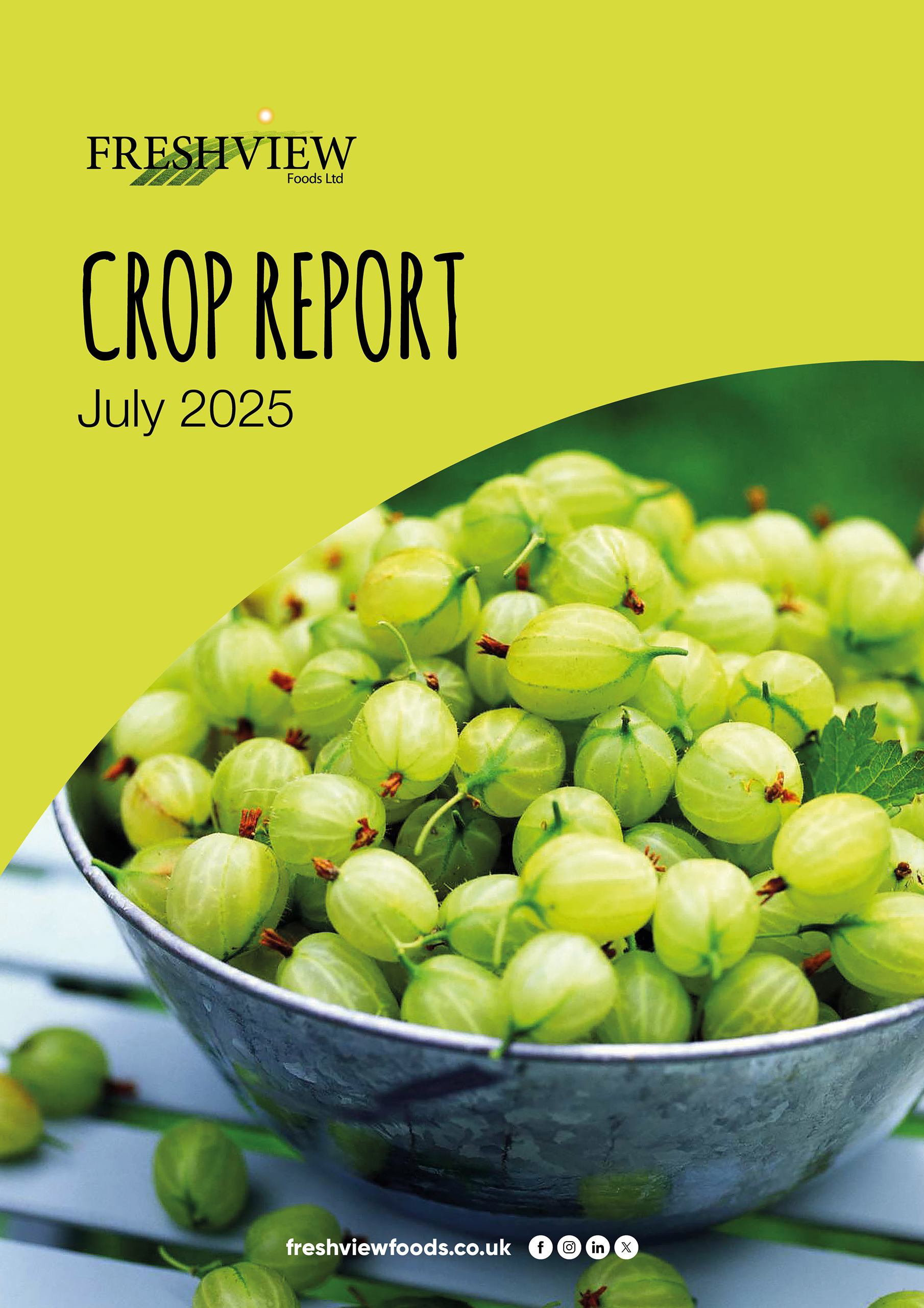 Crop Report – July 2025 | Freshview Foods Ltd