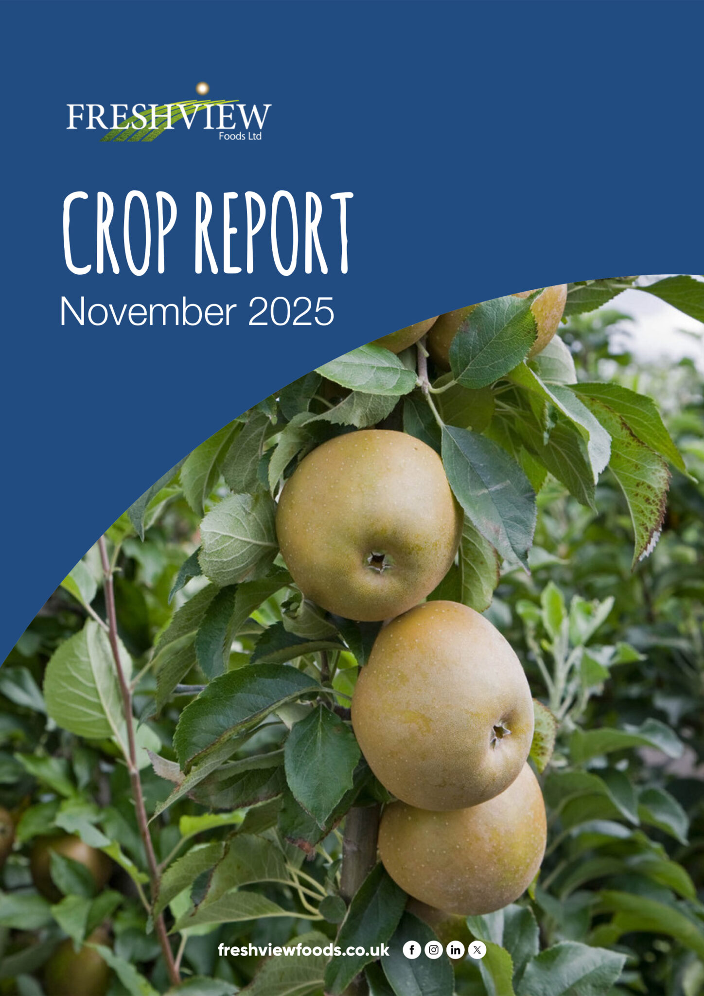 Crop Report November 2025 Freshview Foods Ltd