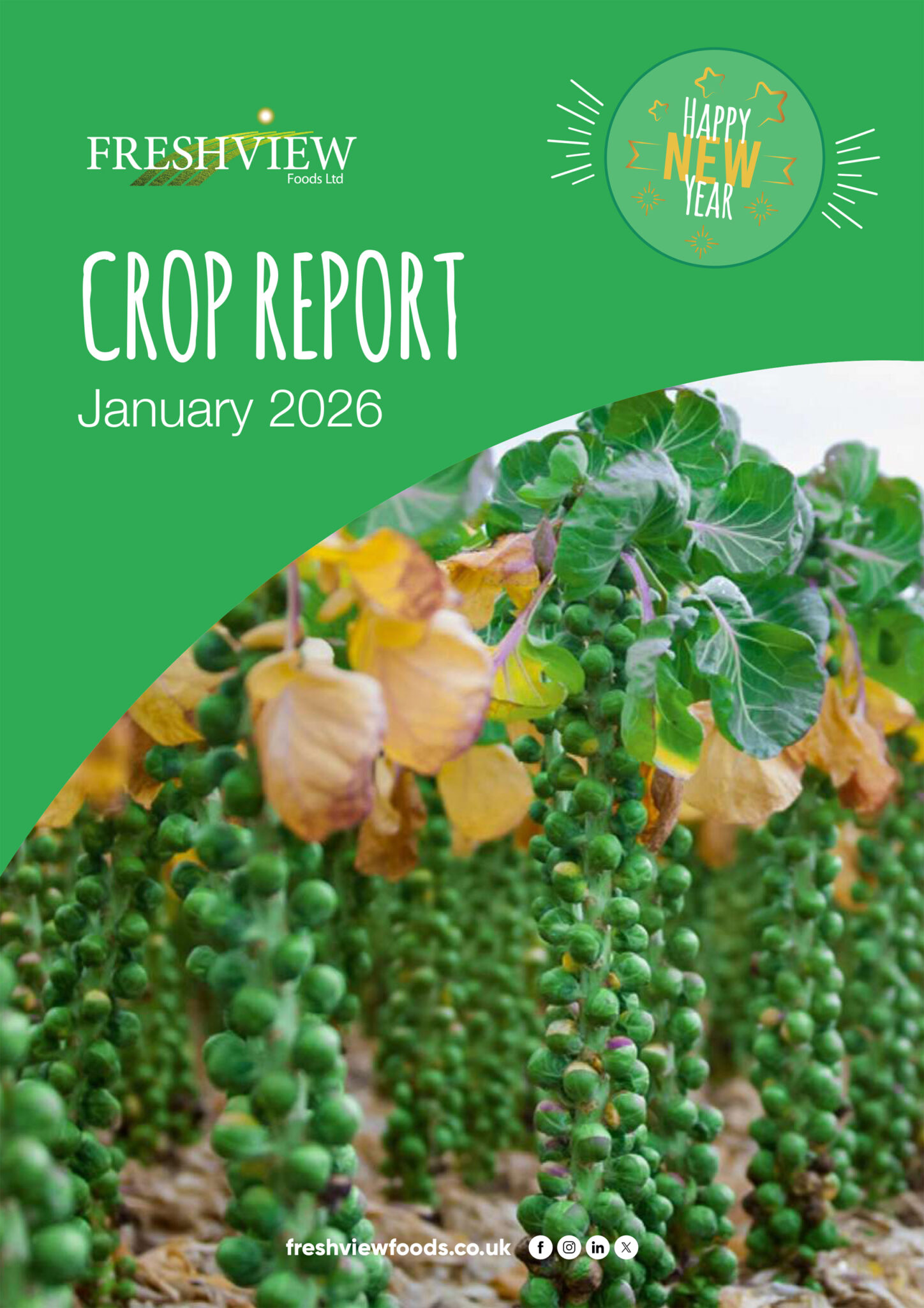 Crop Report – January 2026 | Freshview Foods Ltd