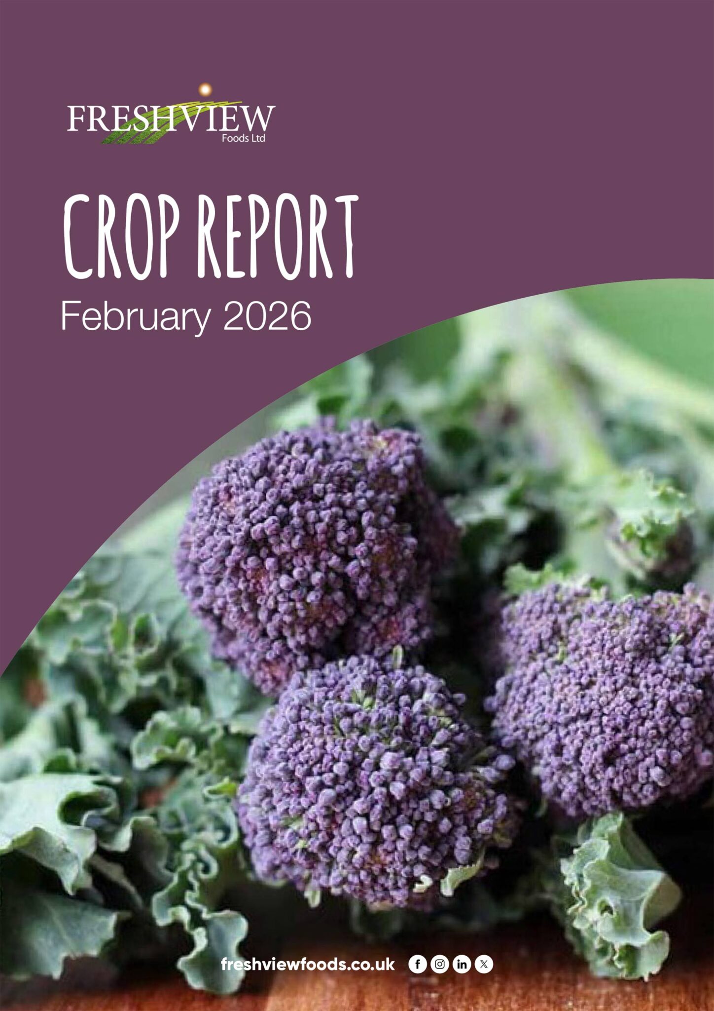 Crop Report – February 2026 | Freshview Foods Ltd